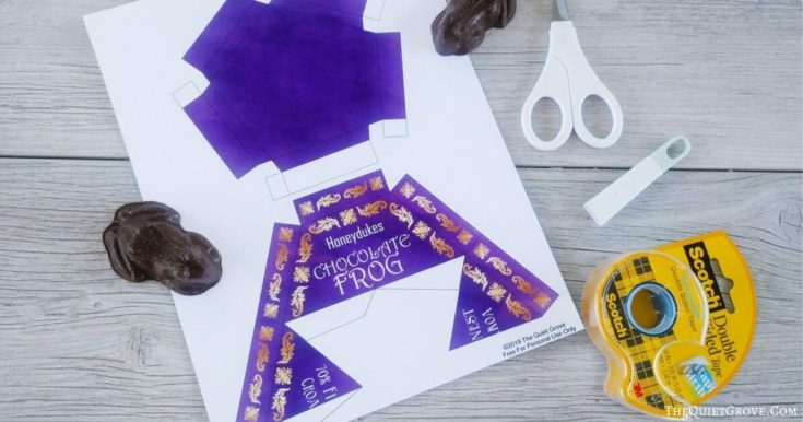 DIY Chocolate Frog Boxes & Wizard Cards (with Free Printables) ⋆ The Quiet Grove