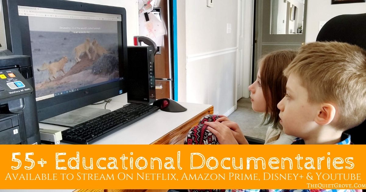 55+ Educational Documentaries Available to Stream On Netflix, Amazon ...