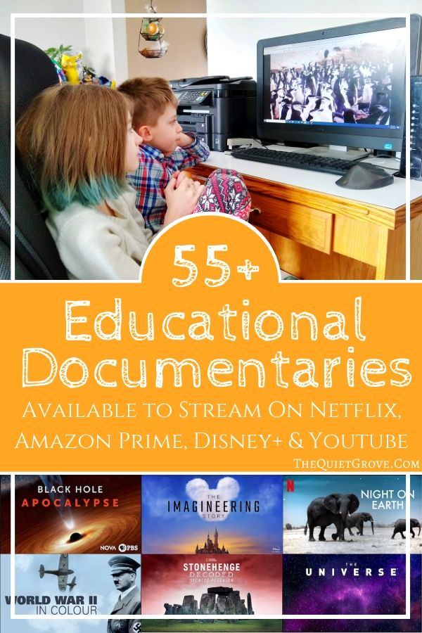 55+ Educational Documentaries Available to Stream On Netflix, Amazon ...